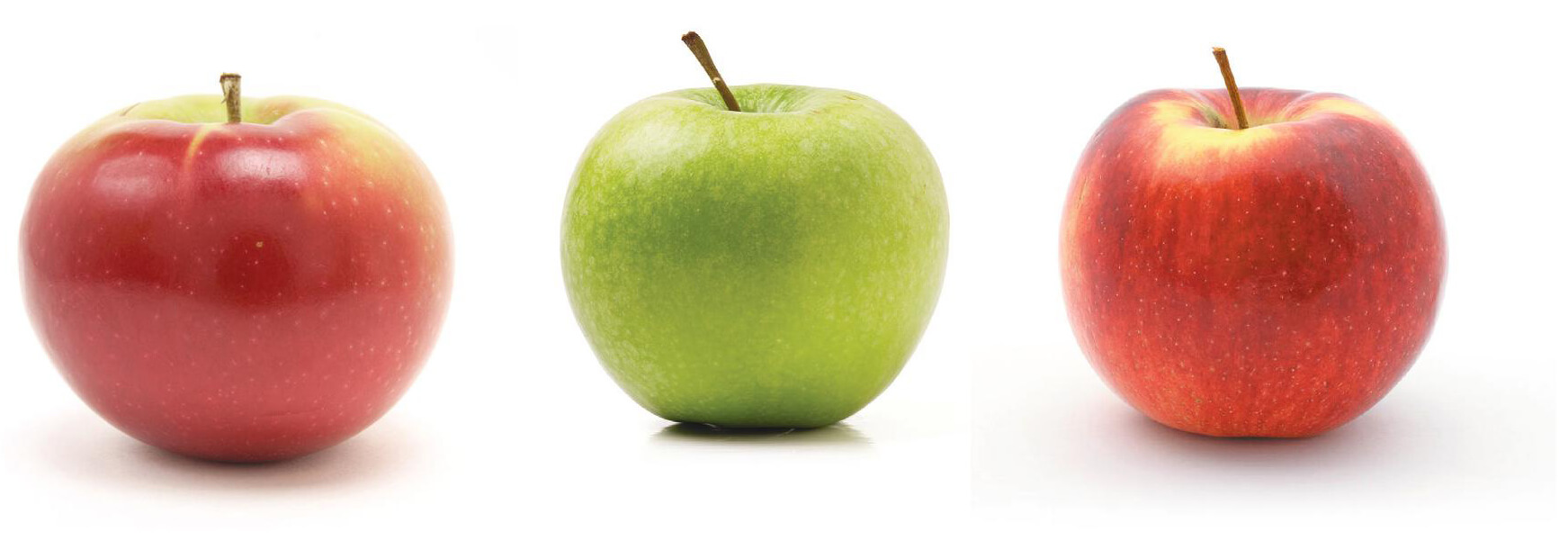 Testing Methodology - Fresh Start Testing Inc